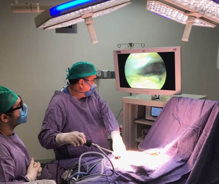 Laparoscopia Diagnostica